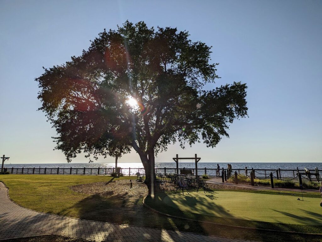 Golf in Sweet Home Alabama - Golf Alabama